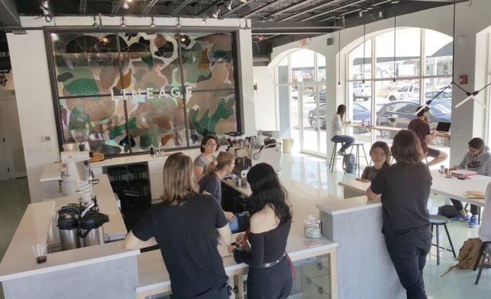 Lineage Coffee has opened their new Mills 50 location – Bungalower