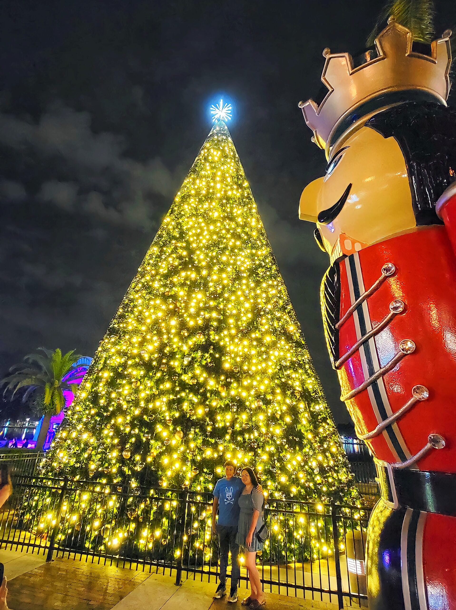 The Christmas Tree at Lake Eola has been lit – Bungalower