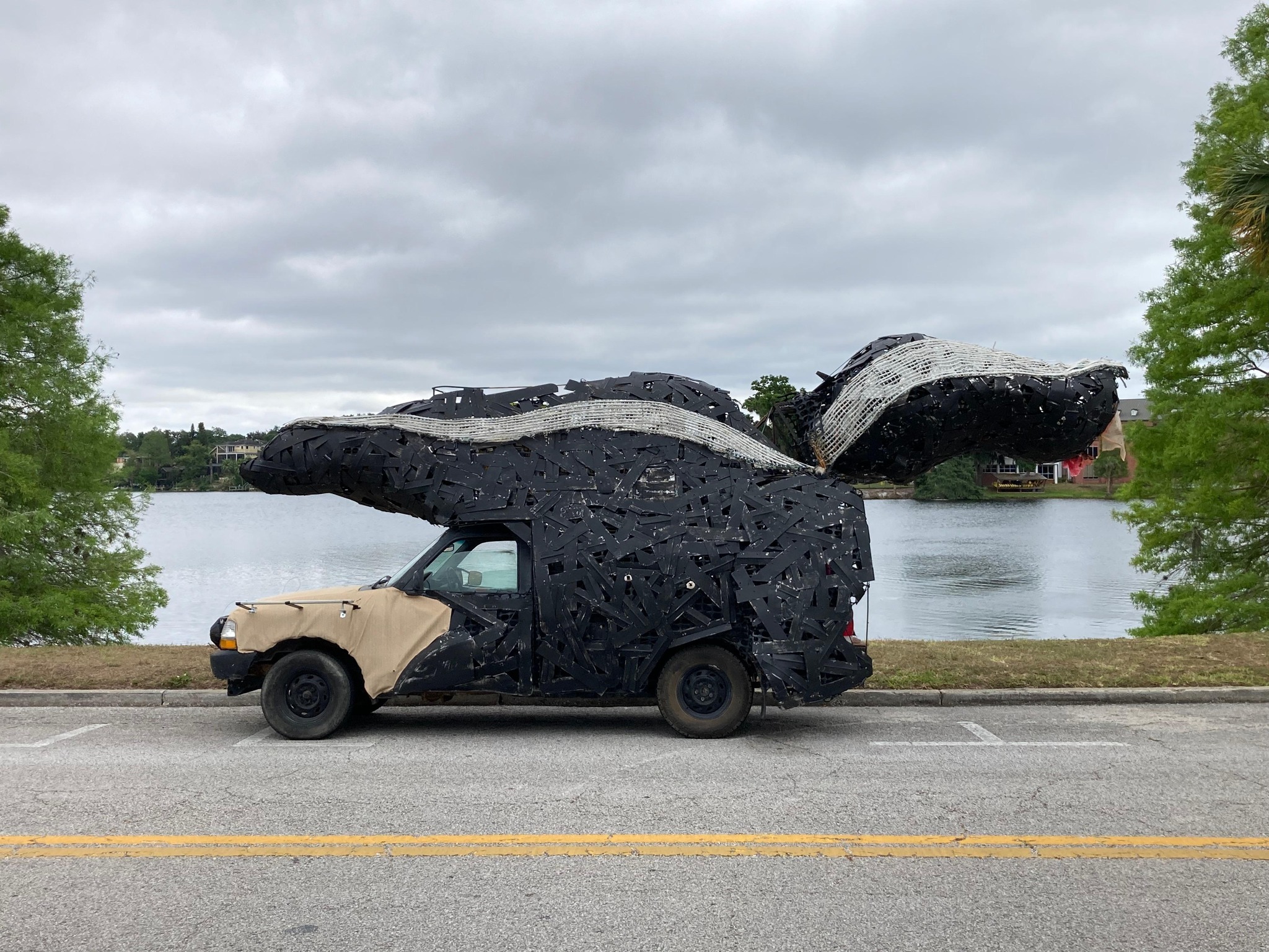 7 Questions with Brandon Willis, the “Skunk Guy” - Bungalower