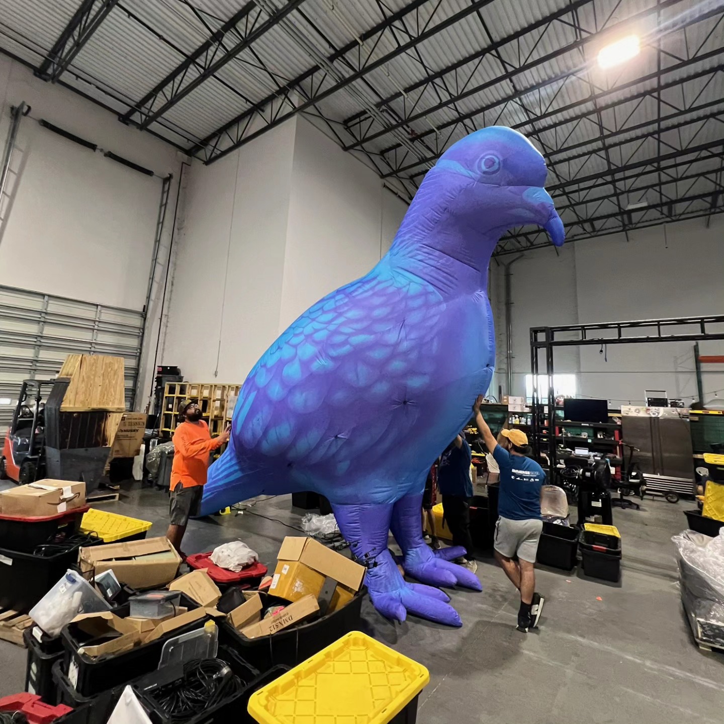 Giant pigeons are flocking downtown this month - Bungalower